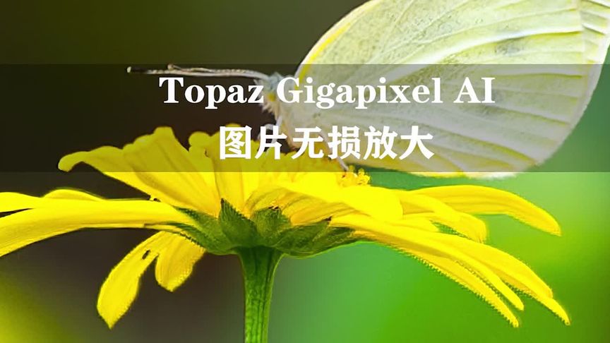 #图片放大 #放大图片不模糊