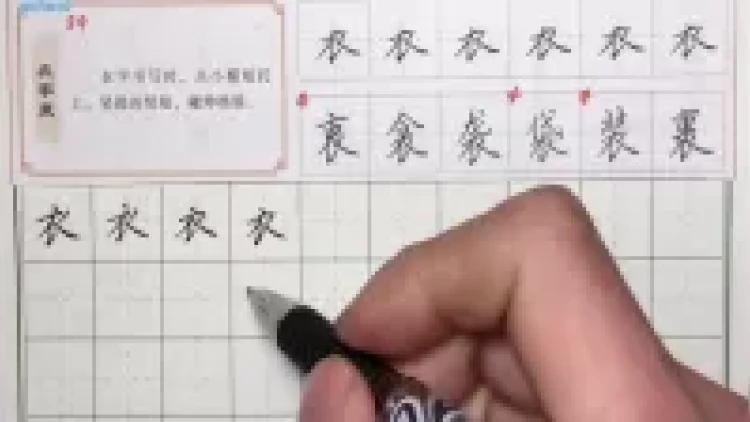 硬笔书法教学:衣字底写法讲解,学会这些技巧,让你的字也美如画