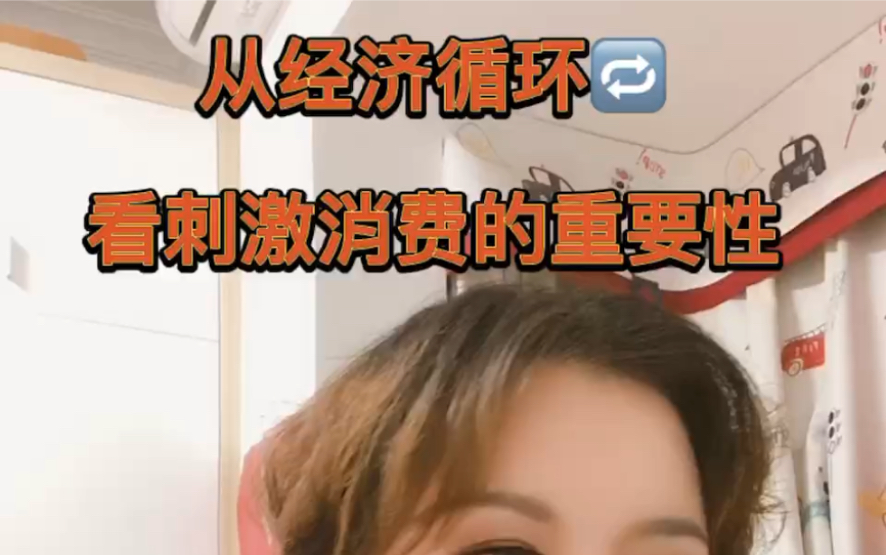 从经济循环看刺激消费的重要性