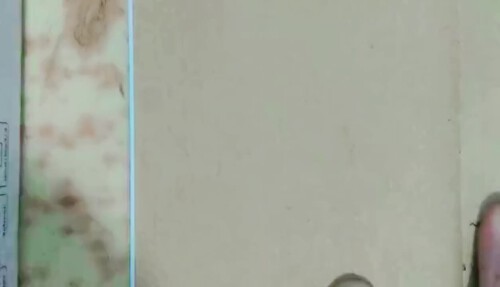 (简笔画)暖暖的小动物互动背着小兔子的大青蛙