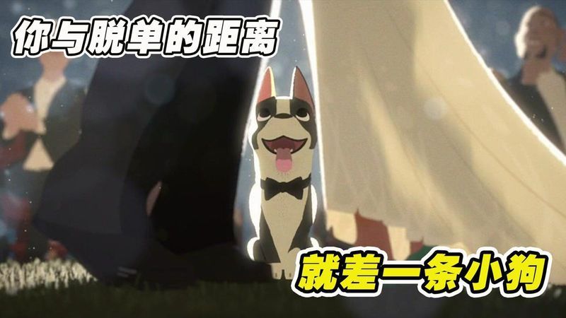 饱尝美食的小狗,帮助男主人成功脱单,令人嘴馋的动画短片