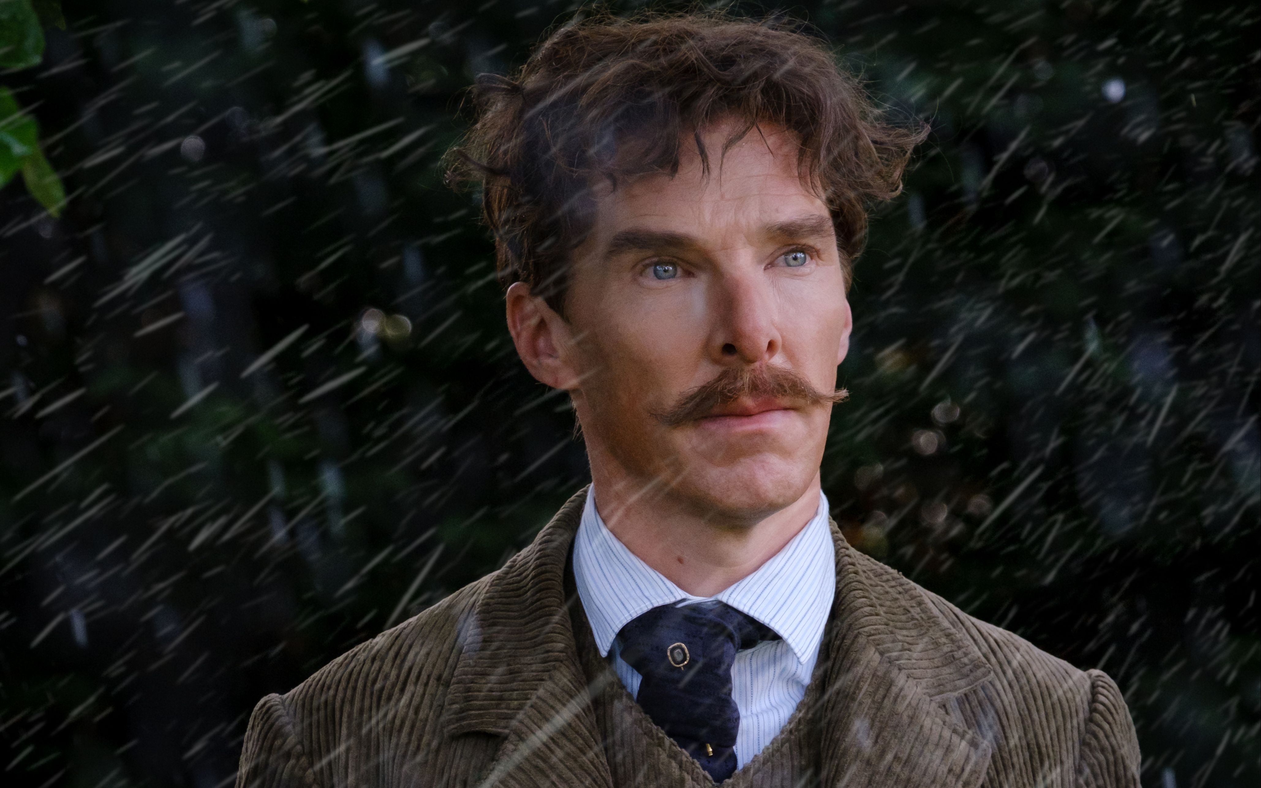 人们为什么喜欢猫呢?它与人类的共同点在哪里?奇异博士最新电影