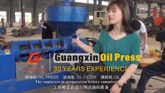 广鑫YZYX168型榨油机炒榨棕榈仁