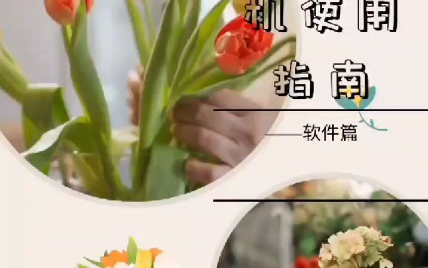 老年人智能手机教授——软件篇之查询两码(行程码,健康码)