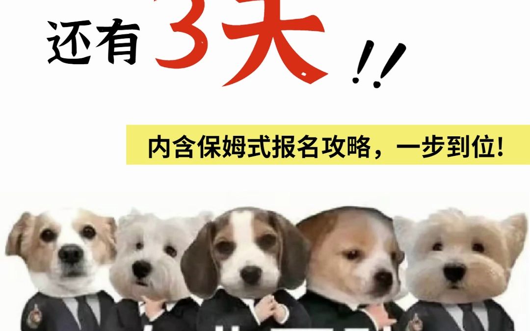 2023CPA报名提醒 | 指南 | 好运‼️