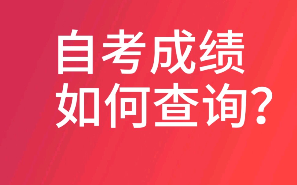 50秒带你了解自考如何查成绩