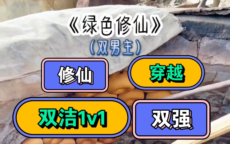 《绿色修仙》【双男主+双强+穿书+搞笑+1V1双洁】【嘴强王者-实力...