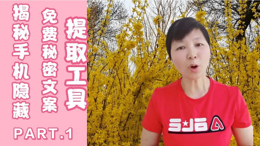 99%的人手机用烂了,也没发现隐藏的,免费文案提取工具