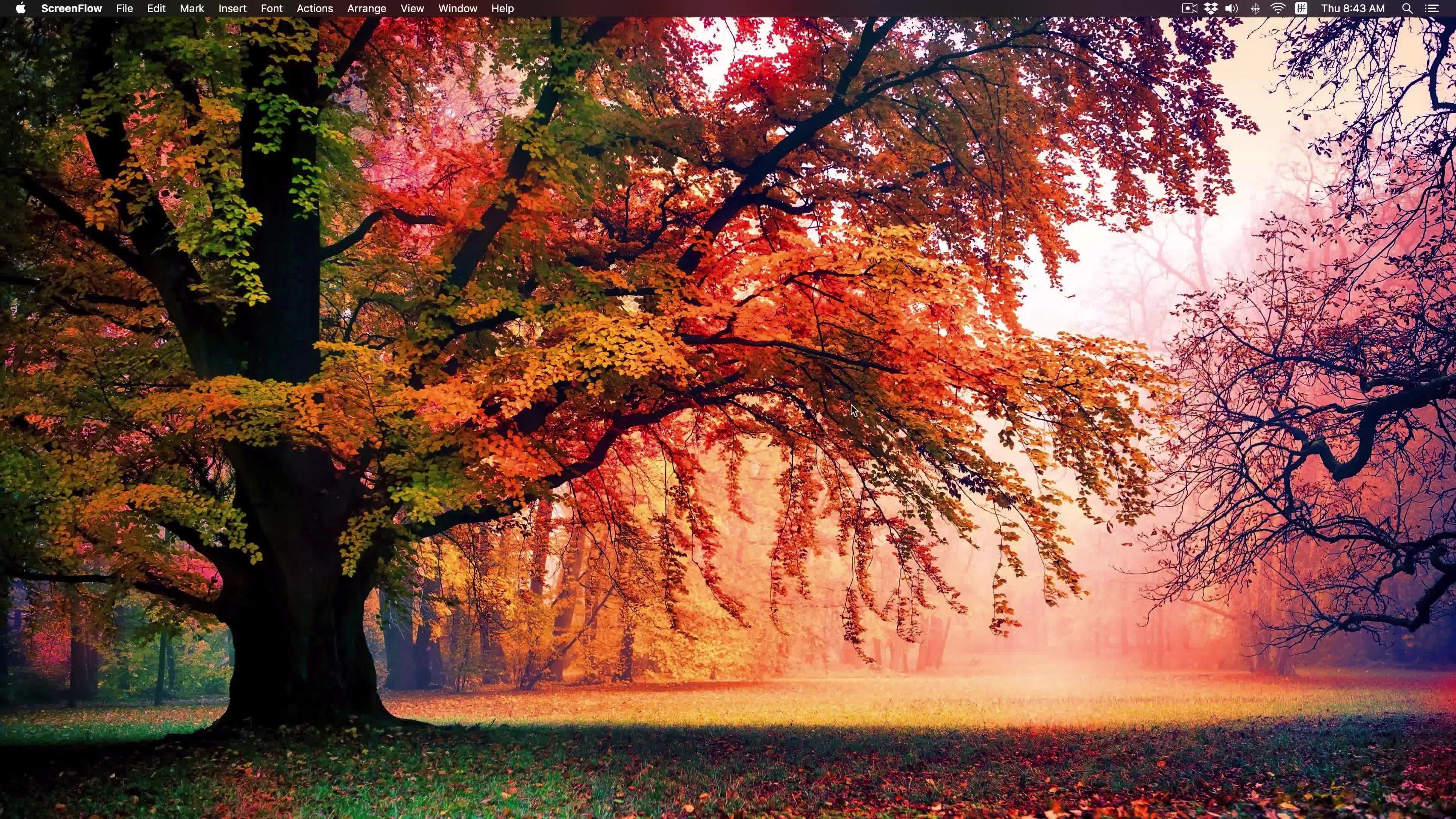 如何给iOS下载和安装旧版app(免越狱)