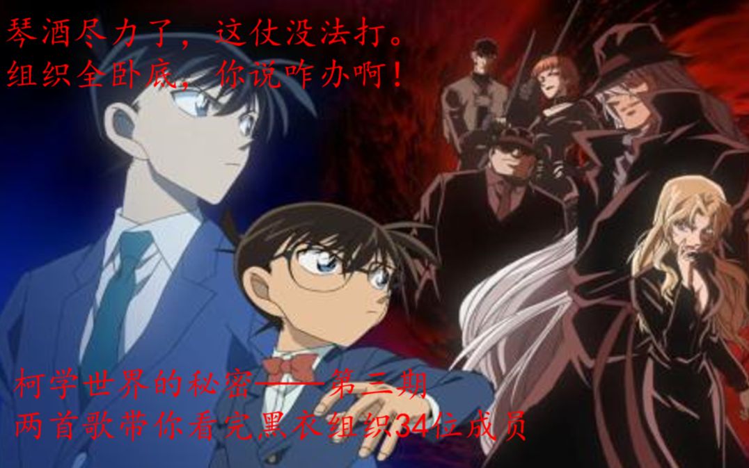 两首歌带你看完黑衣组织34位成员