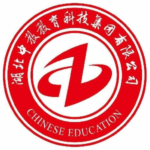 湖北中教教育科技集团 