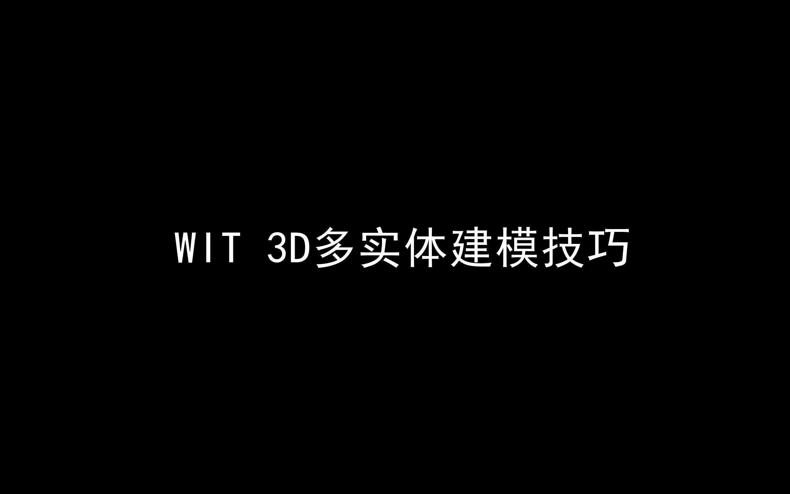 WIT 3D多实体建模技巧