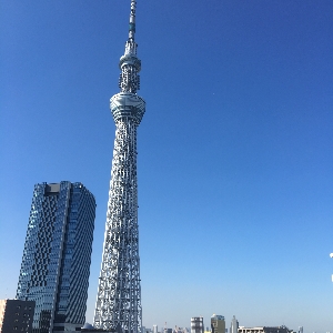 一个人装修一套房 