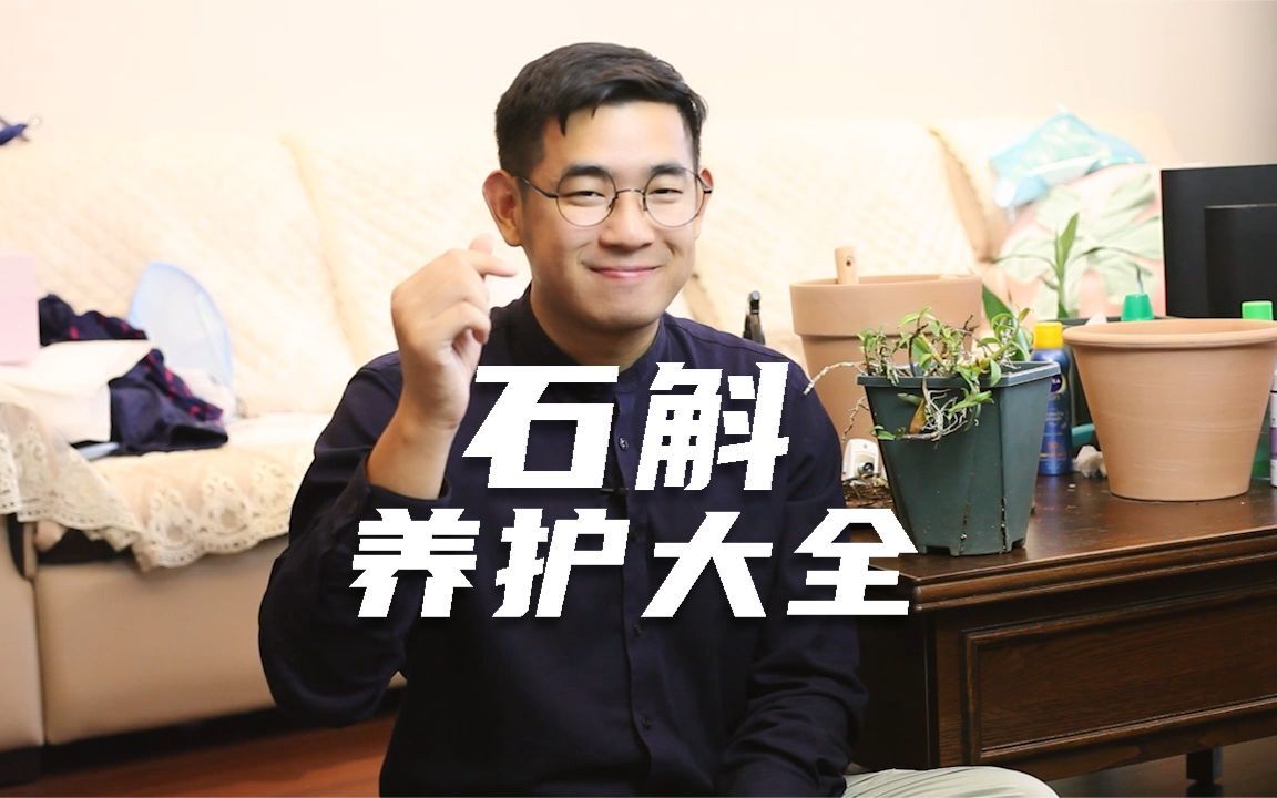 园艺师教你石斛怎么养,这可能是关于石斛,最全面的教程了
