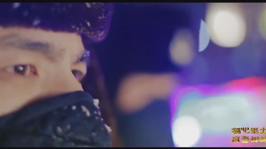 「我们这一年」“全国优秀公安局”萨尔图公安分局不忘初心 砥砺前行