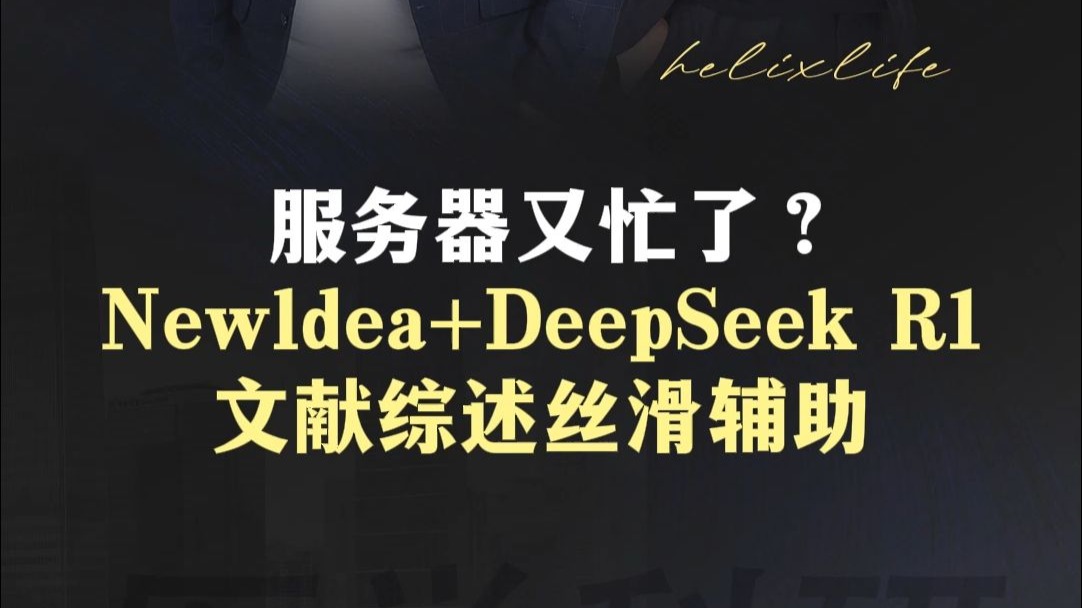 服务器又忙了? Newldea+DeepSeek R1 文献综述丝滑辅助