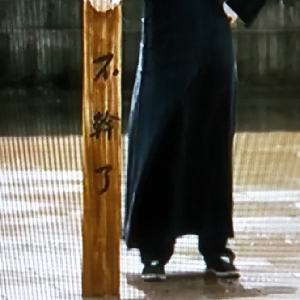 入柳杨 