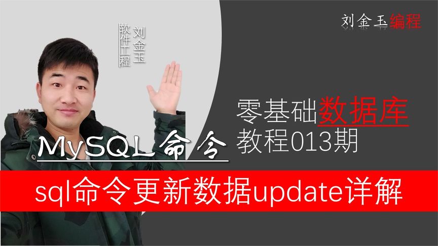 零基础数据库教程013期 sql命令更新数据update详解 刘金玉编程