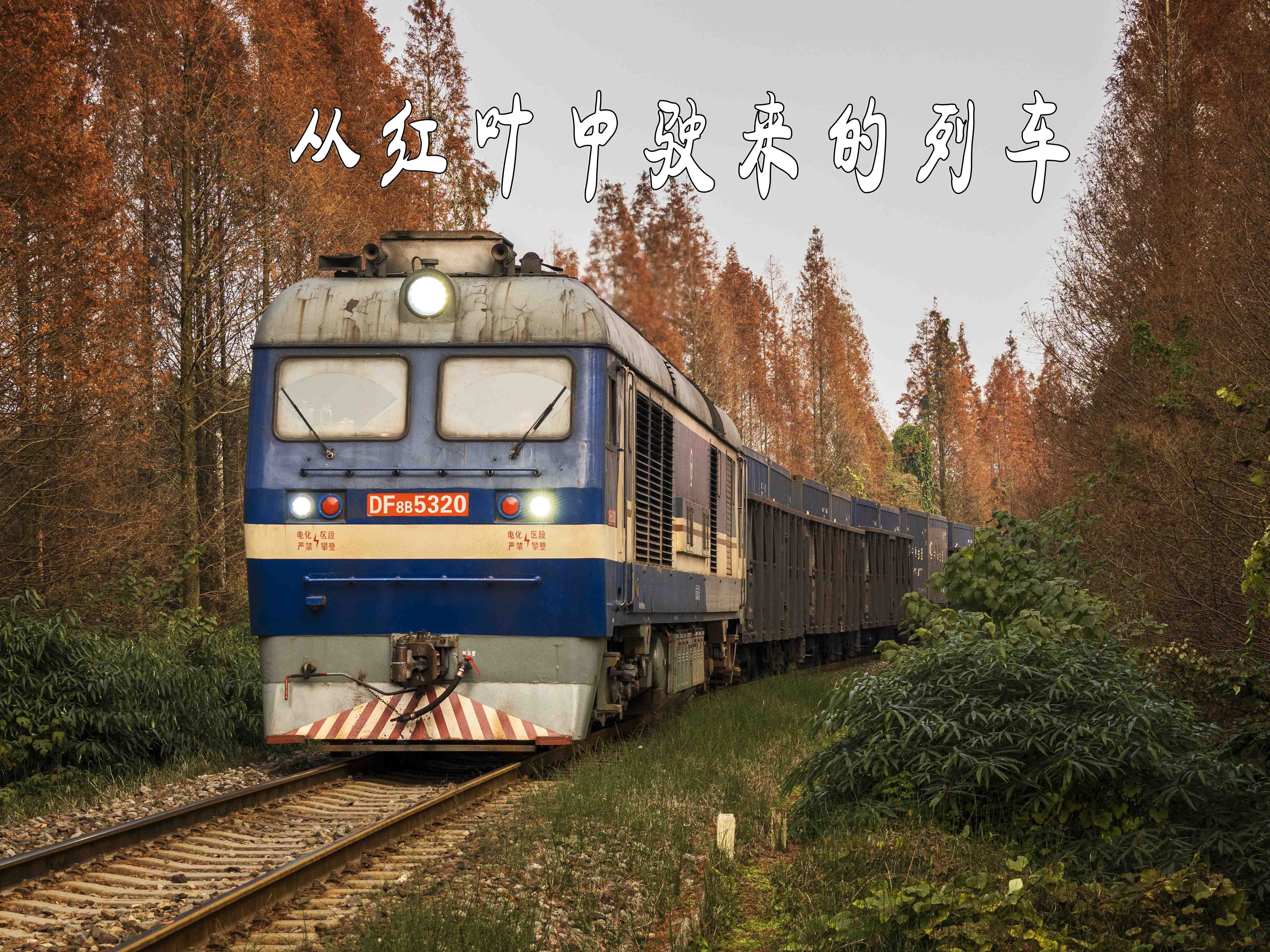 成汶铁路蒲阳站,红叶林中穿行的列车