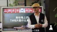 《商标108问》第9问:商标角上的TM和R是什么意思?