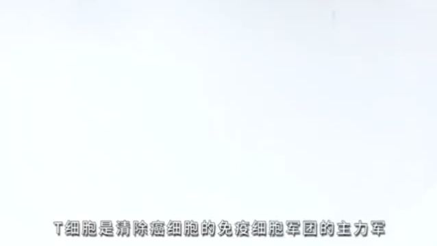 2分钟带您了解CAR-T细胞治疗技术[鼓掌]