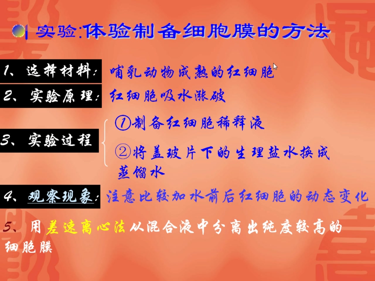 高中生物-细胞膜的结构和功能---人教版---高一上学期 ---必修1第3章第1...