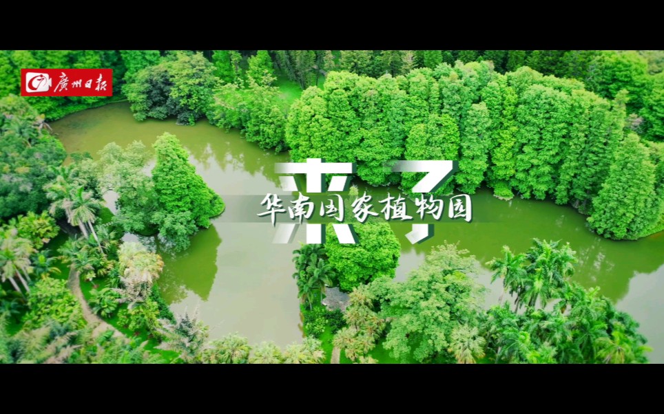全球一流,就在广州!华南国家植物园来了!