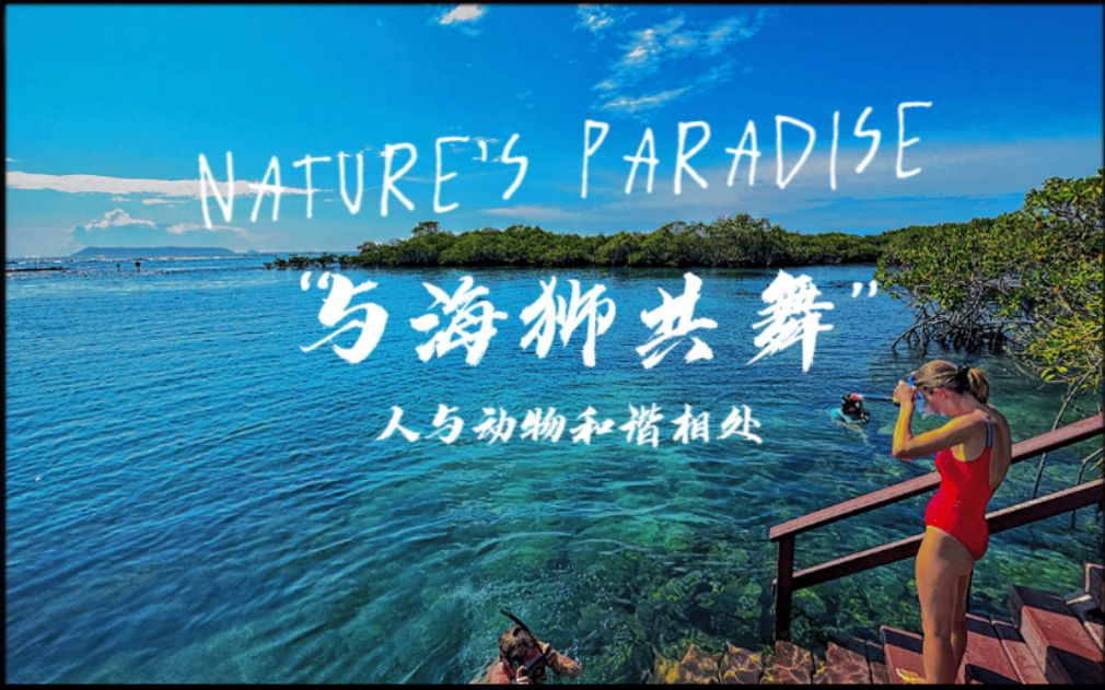 这是人与动物最和谐相处的地方