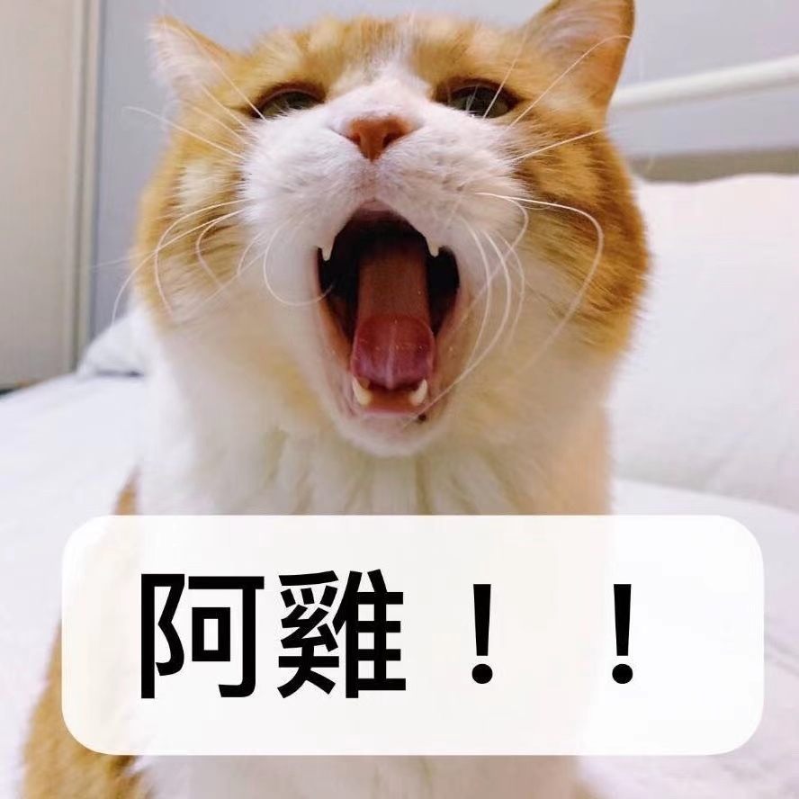 阿五只鸡 