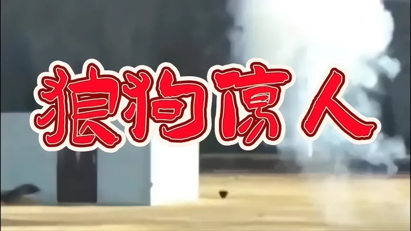 狼狗伤人 狗咬人事件