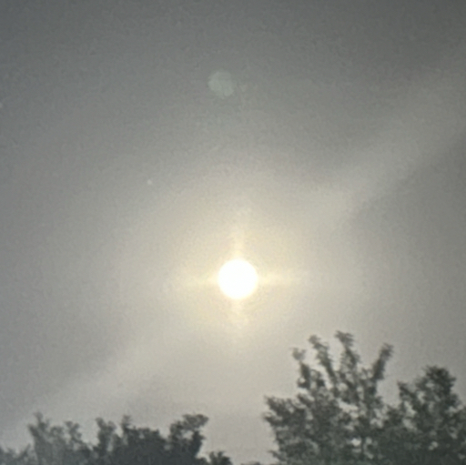 bili_112113 