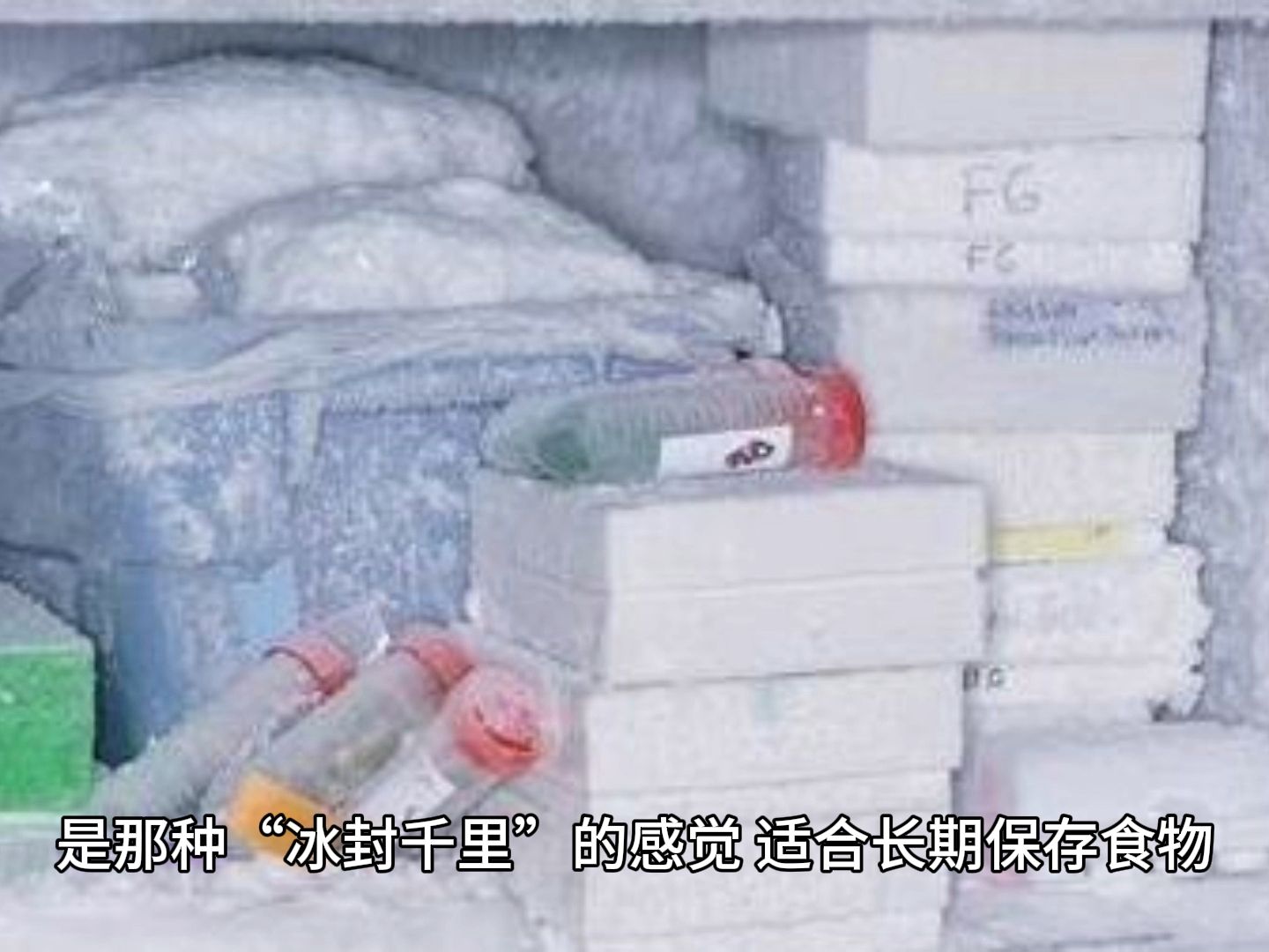 软冷冻室和冷冻室的区别