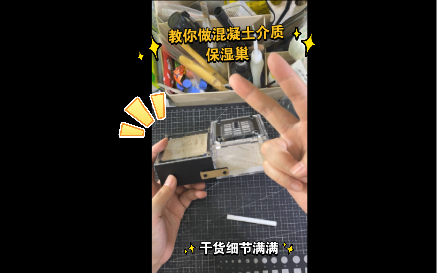 【老陈蚁管】教你做混凝土介质保湿巢
