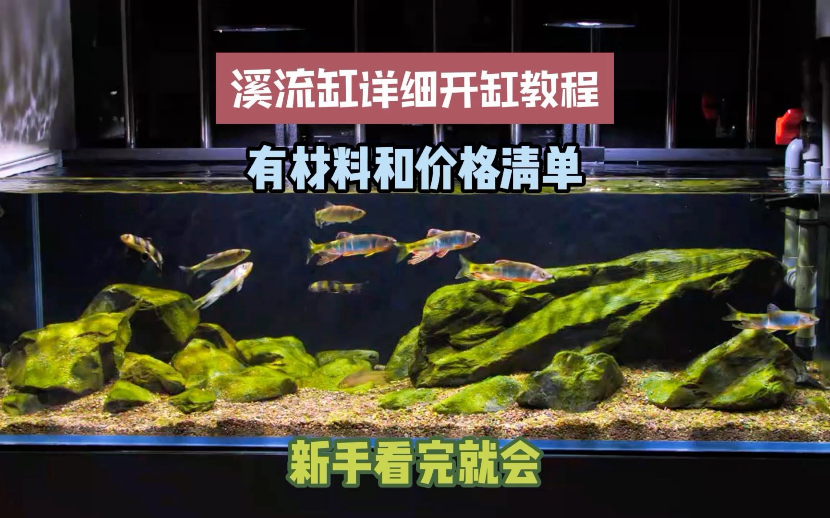 溪流缸超详细开缸教程,新手必看。包含造景,周转箱制作过滤,水泵和...