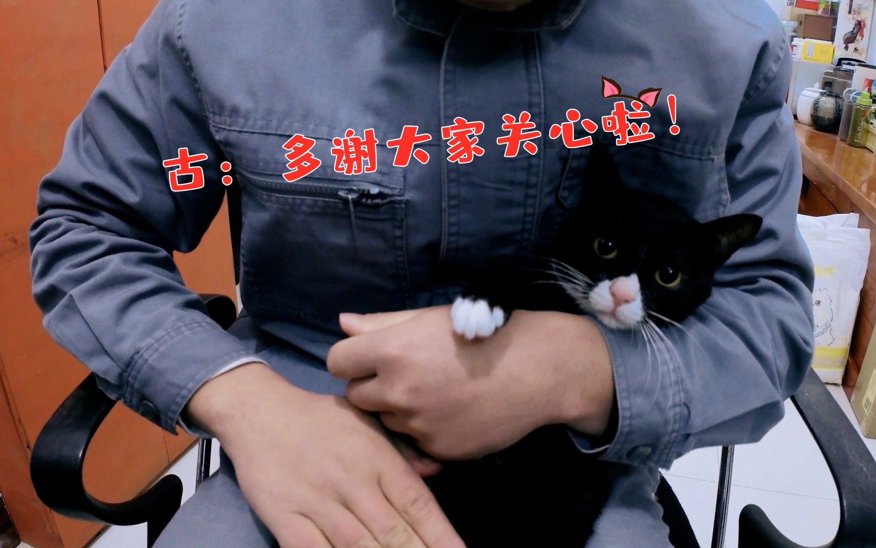 突然病发的猫咪,经过几天时间治疗,总算好转不少了