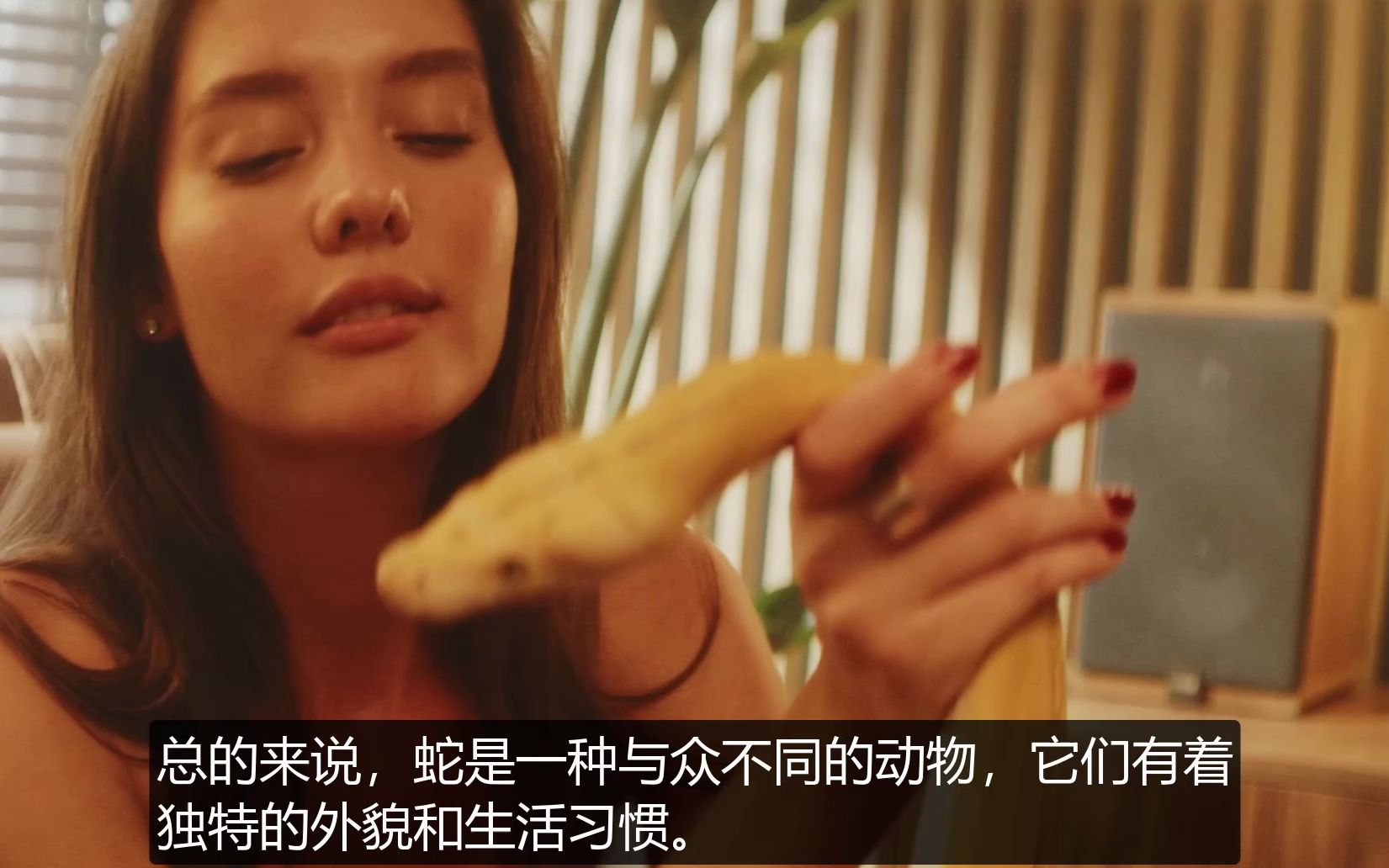 奇妙动物世界蛇