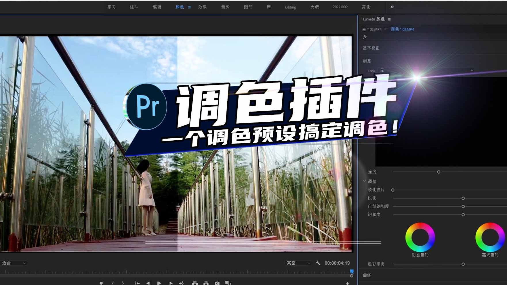 Pr/Ae创意调色预设100+款! 一键调出电影大片质感!