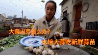 大蒜出芽了,农村媳妇用盘子水培大蒜,在家就有新鲜的蒜苗吃
