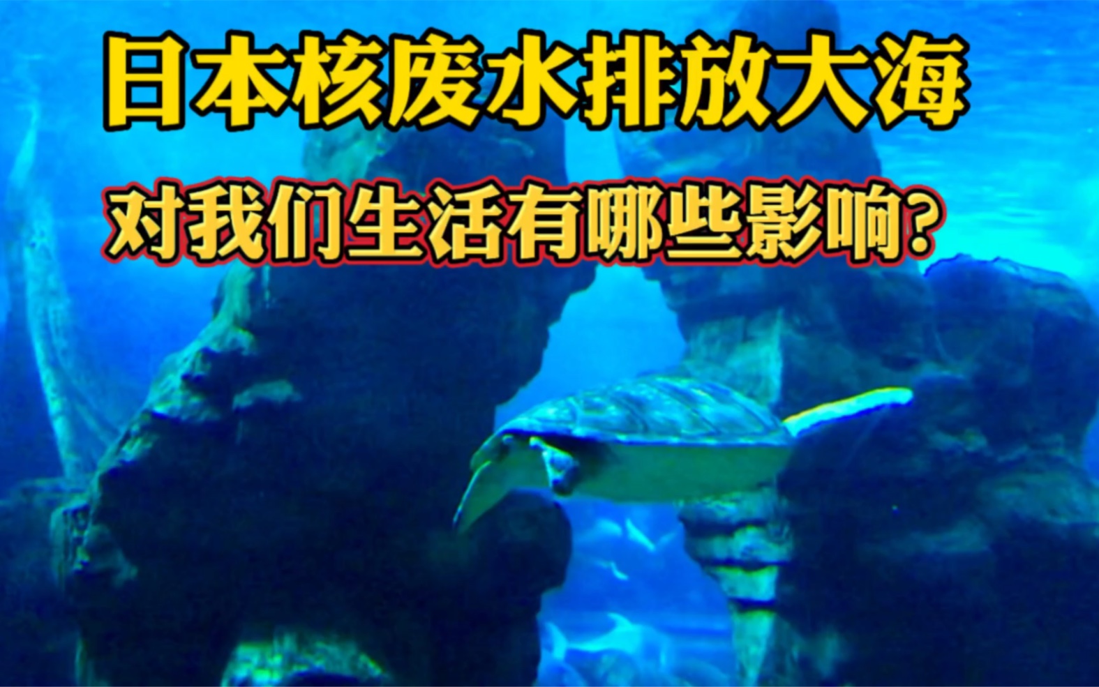 日本核污水排放大海,对我们的生活有哪些影响?看完真是细思极恐