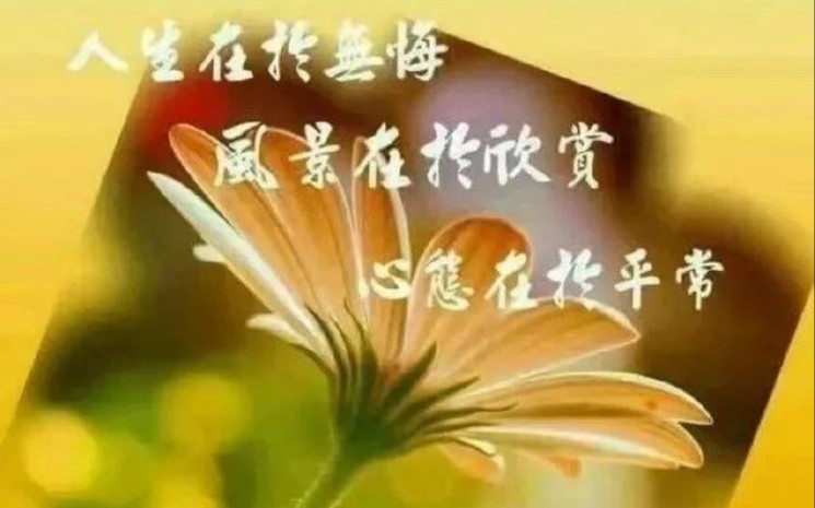 五步选股法的七个指标