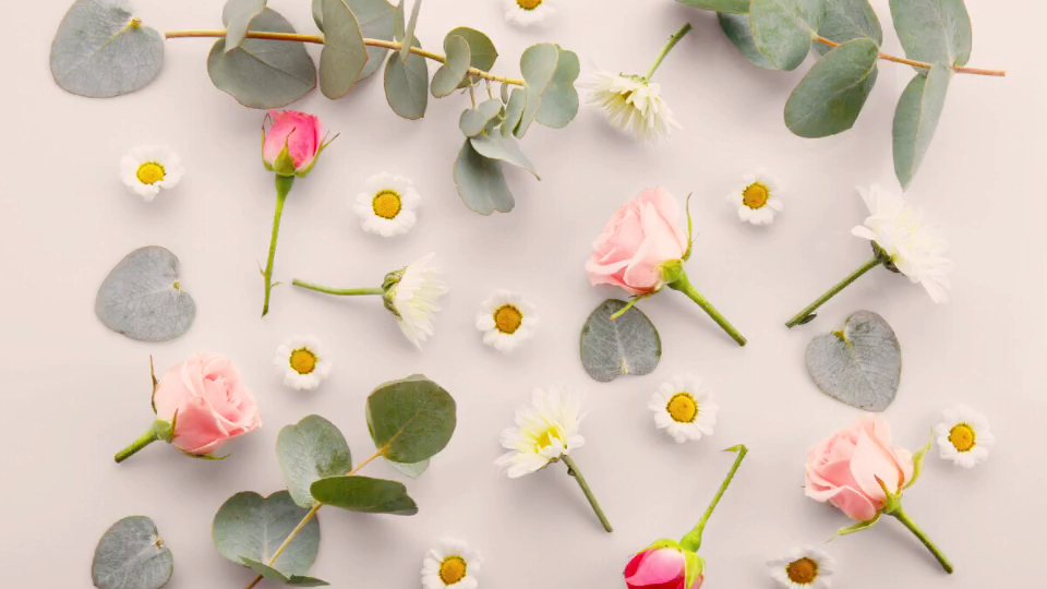 每一朵花都有自己独特的美,在惬意的时光里来慢慢的欣赏。