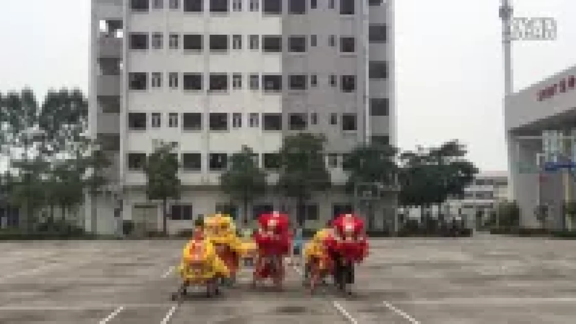 小学生舞狮训练三年班,四年班