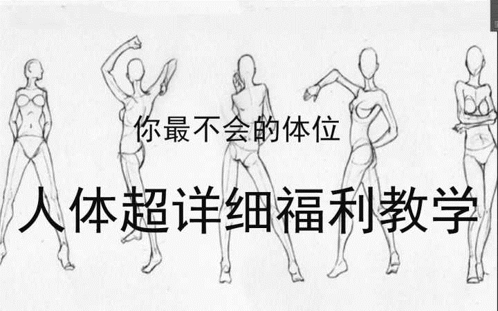 【人体漫画基础教学】人体动态很难学,画不好?来来来,这里有秘籍谁看...