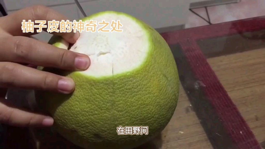 柚子皮的功效与作用,柚子皮的做法!