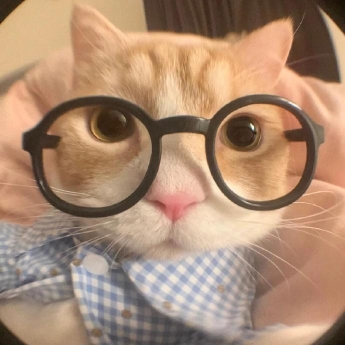 我在B站逆袭之路 