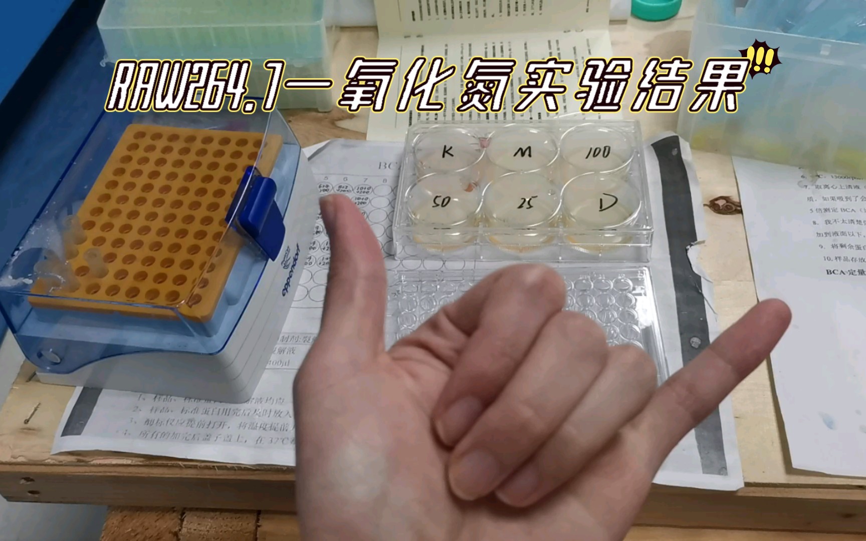 (细胞实验)RAW 264.7 一氧化氮实验(第三天检测一氧化氮)