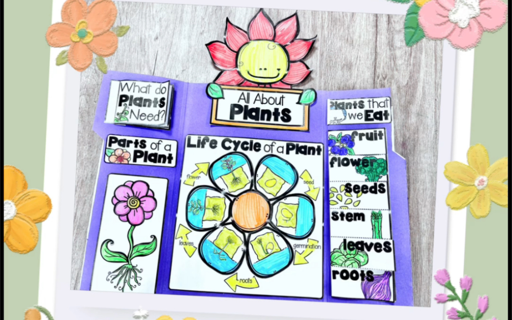 Lapbook英语翻翻书,英语DIY