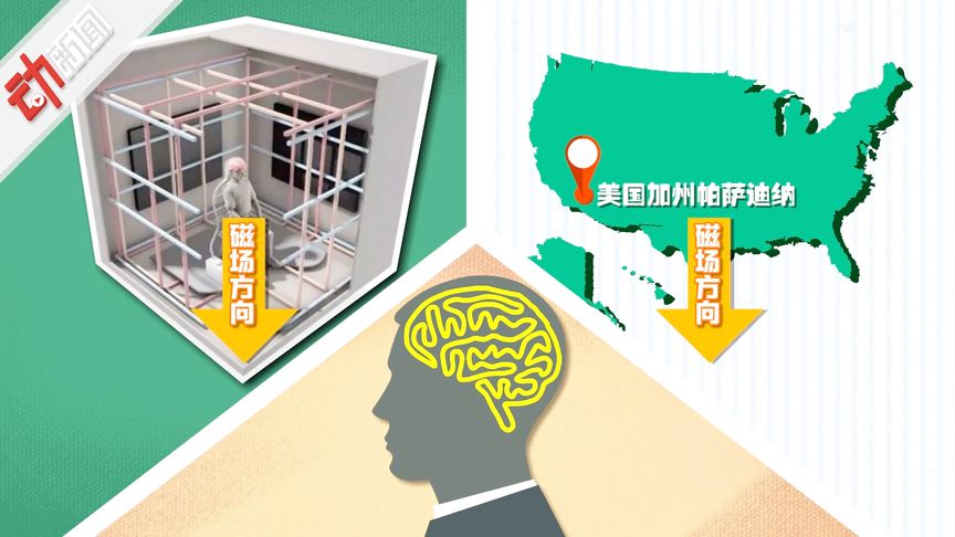 最新研究:人脑对磁场具有强烈感应 动画:“第六感”等于磁感吗