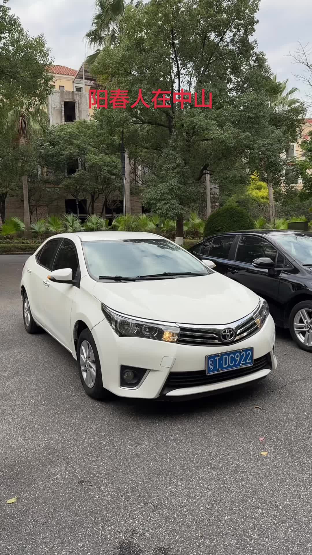 #丰田卡罗拉 #丰田雷凌