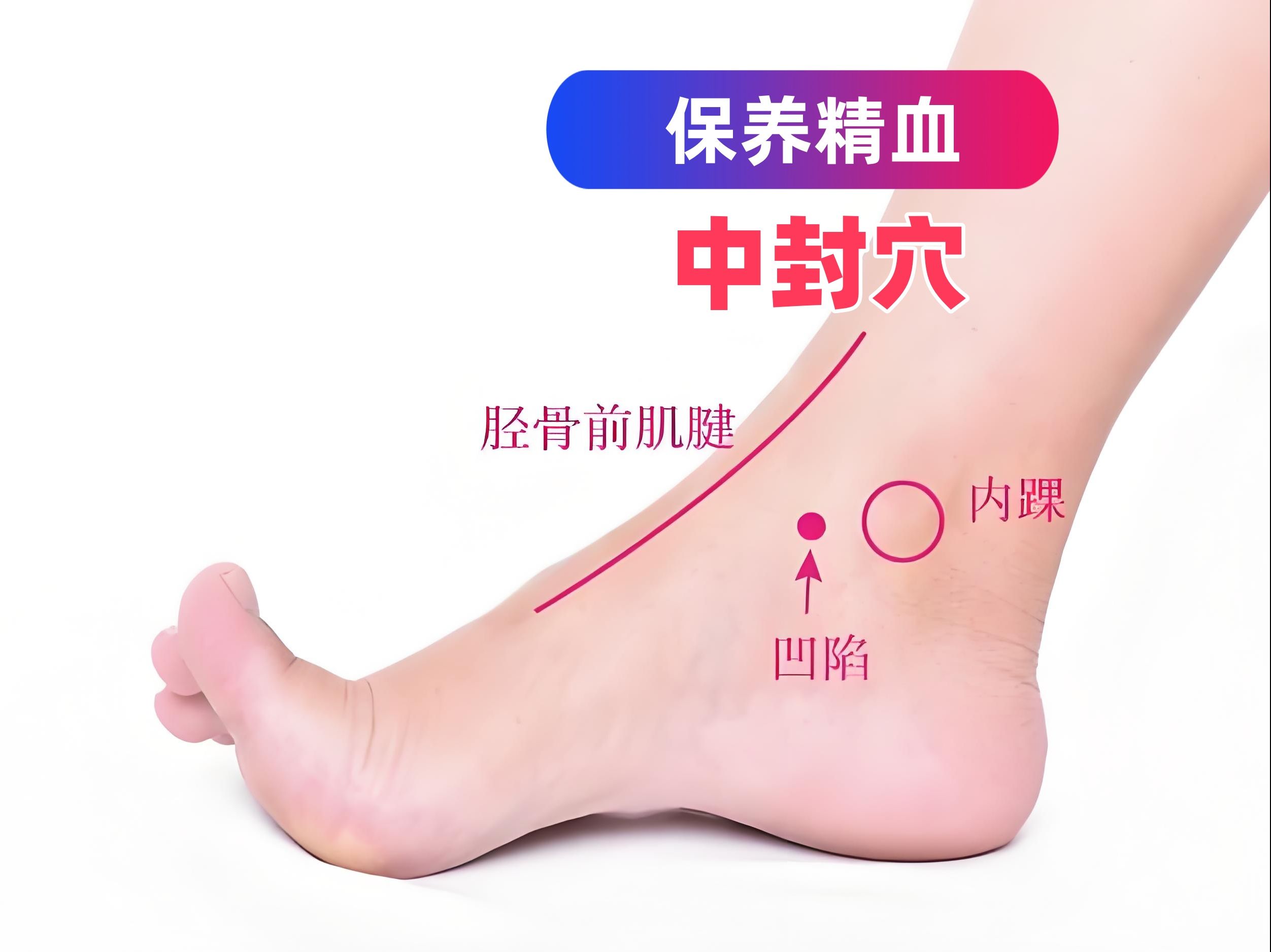 194、足厥阴肝经 — 中封穴 — 保养精血